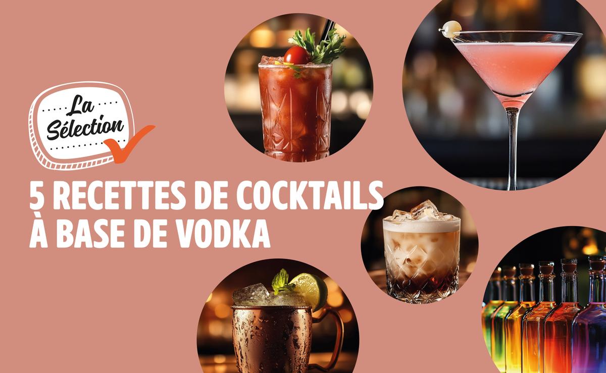 5 recettes de cocktails à base de vodka par Toutlevin